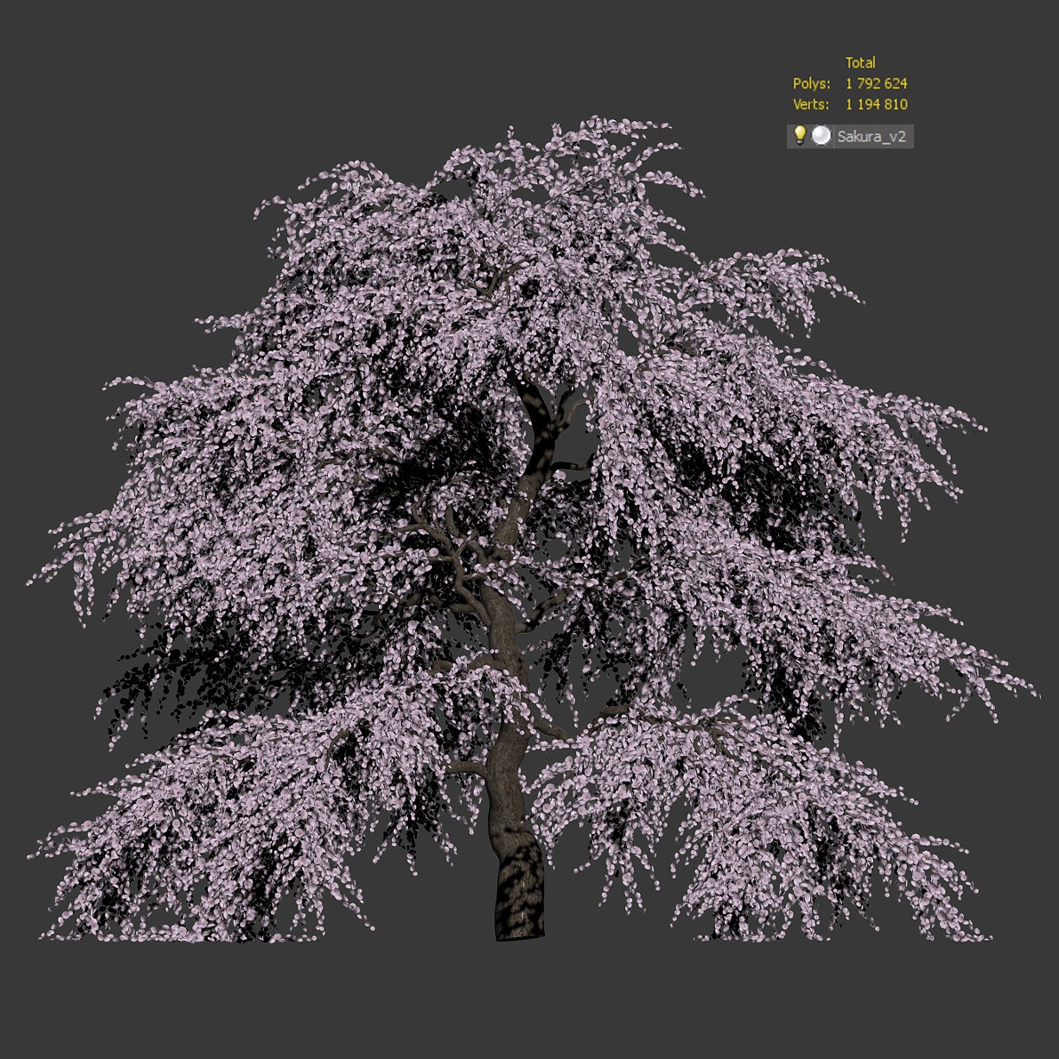 Sakura Tree V2 - 3D Model for VRay, Corona