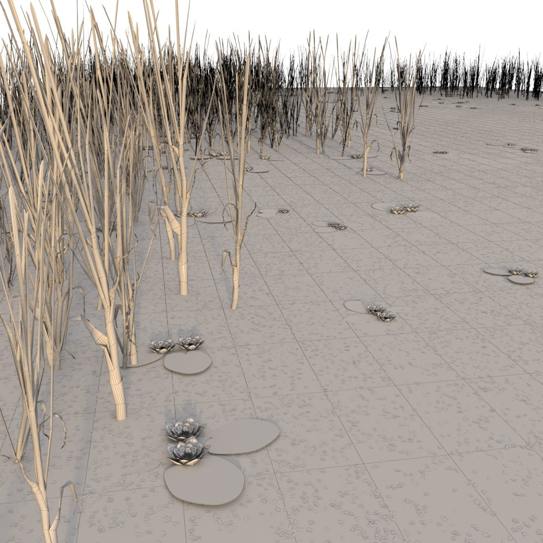 Duckweed, Cattail And Water Lilies - 3D Model for Corona