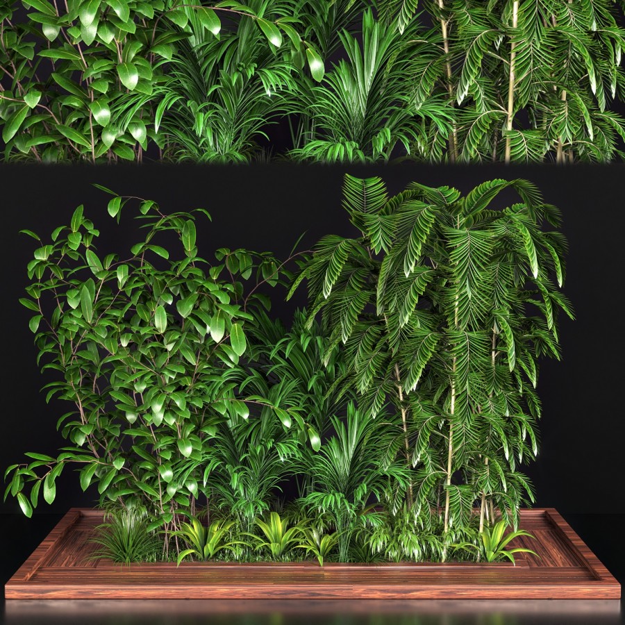 Garden Set Bush And Tree_set05 - 3D Model for VRay, Corona