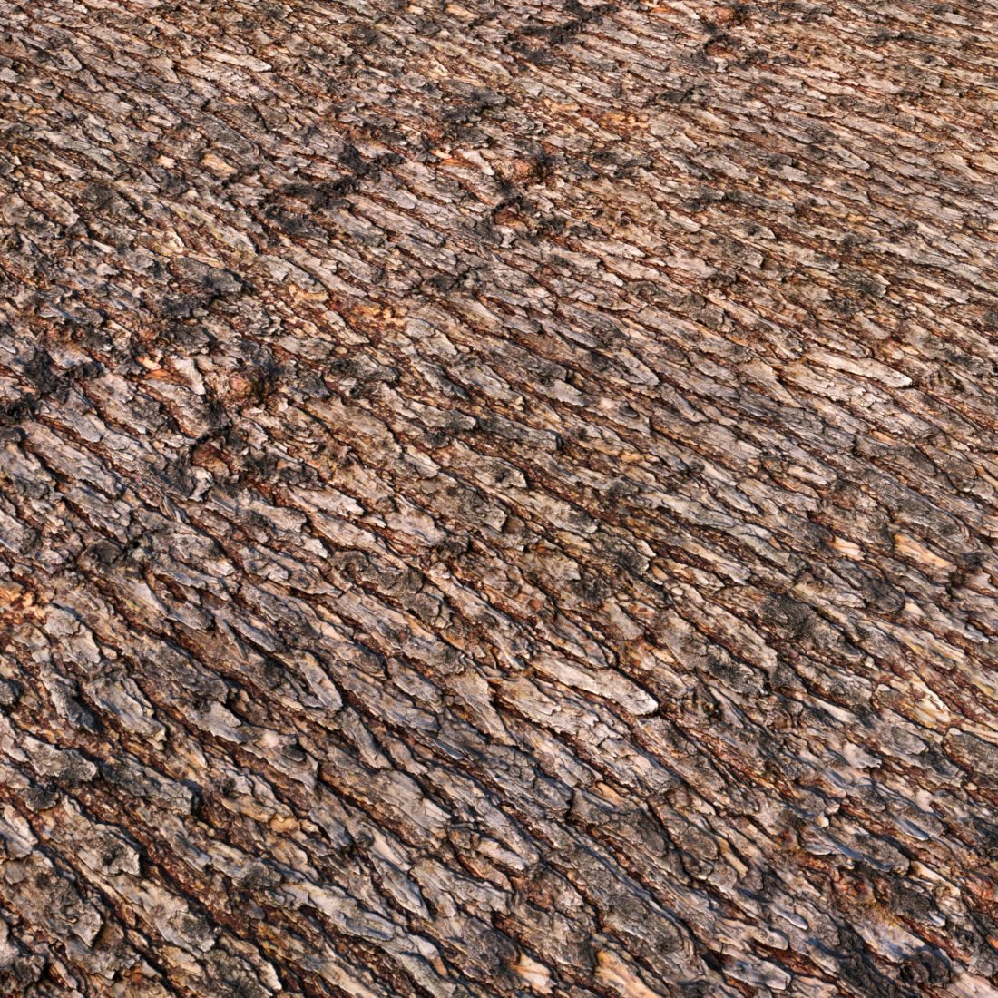 Pine Bark Material - 3D Model for VRay, Corona