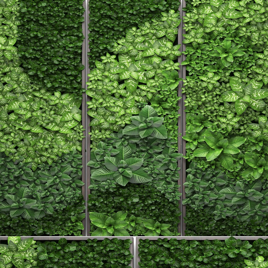 Vertical Gardening Phytowall, Eco Design 3D Model for VRay | CGMood