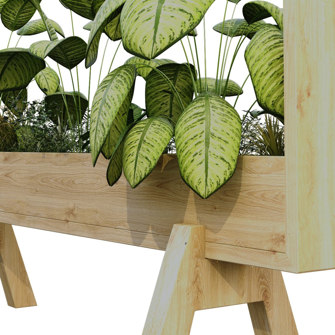 Plant In Box Set 189 - 3D Model for VRay, Corona