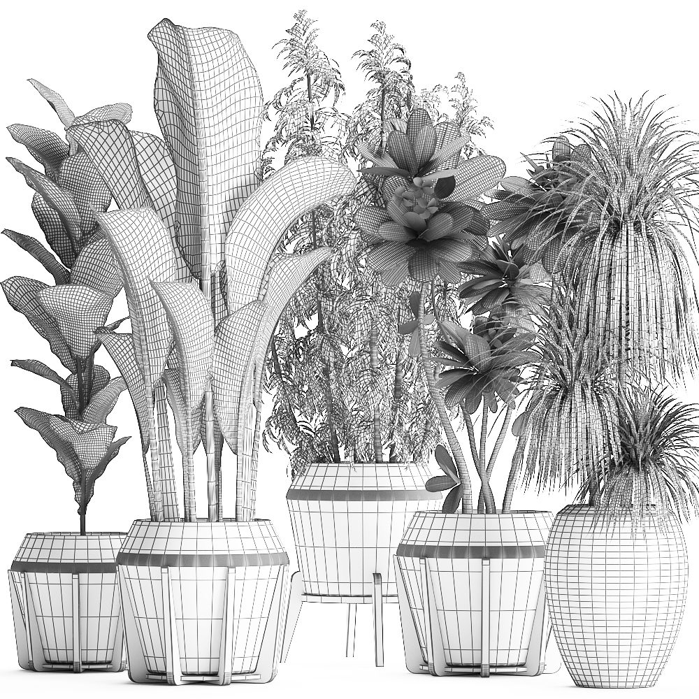 collection-of-exotic-plants-in-white-pots-425-3d-model-for-vray