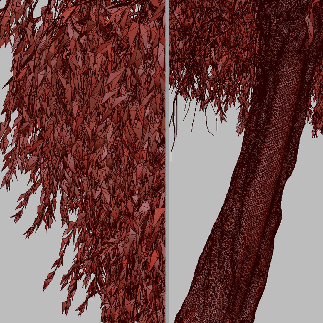 Set Of Peppermint Willow Tree ( Agonis Flexuosa ) - 3D Model for VRay, VRay