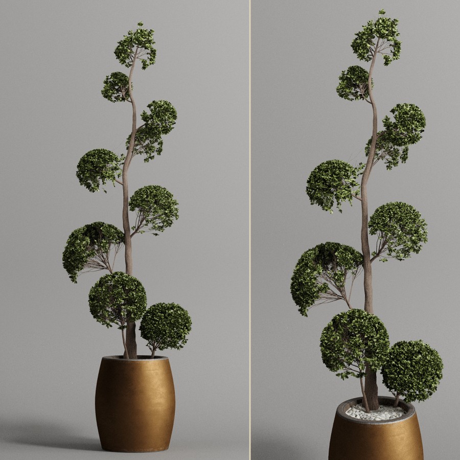 Different Tree - 3D Model for VRay, Corona