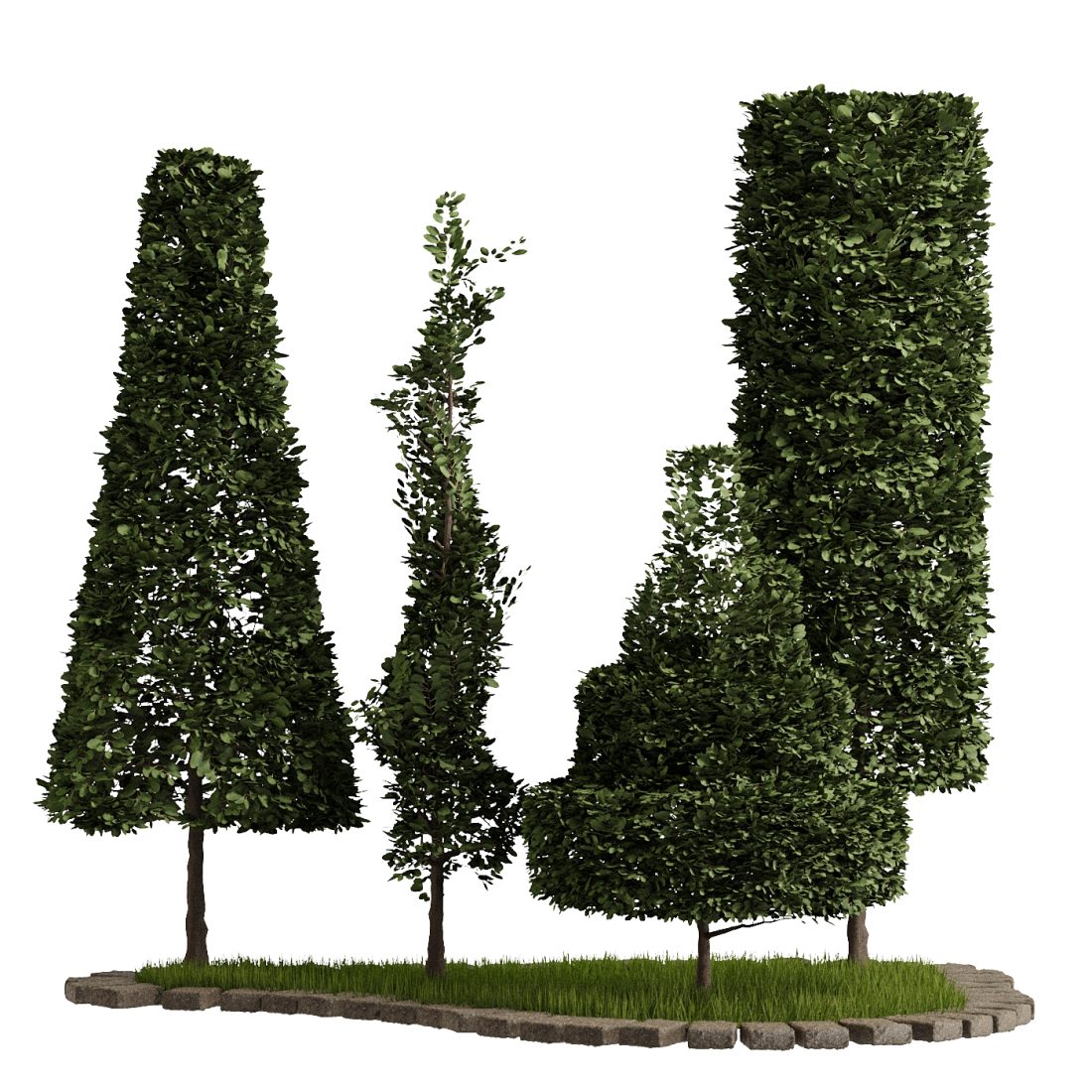 Garden Boxwood Trees 01 - 3D Model for VRay, Corona