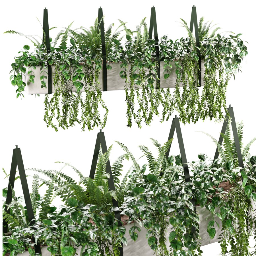 Indoor Plant (hanging Plant)01 - 3D Model for VRay, Corona