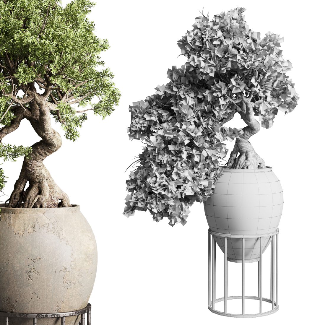 Bonsai Tree In An Old Earthenware Vase Indoor Plan 3D Model for VRay ...