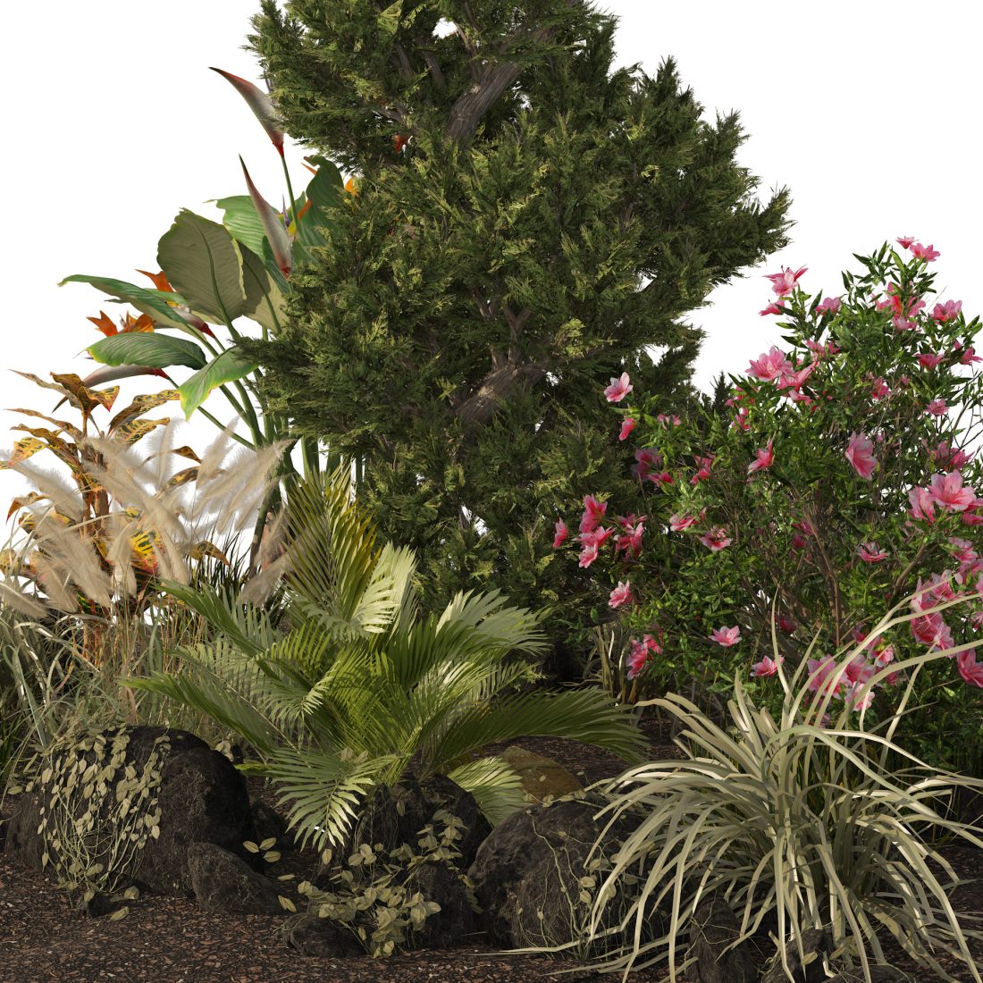 Garden Plant Set - 3D Model for VRay, Corona