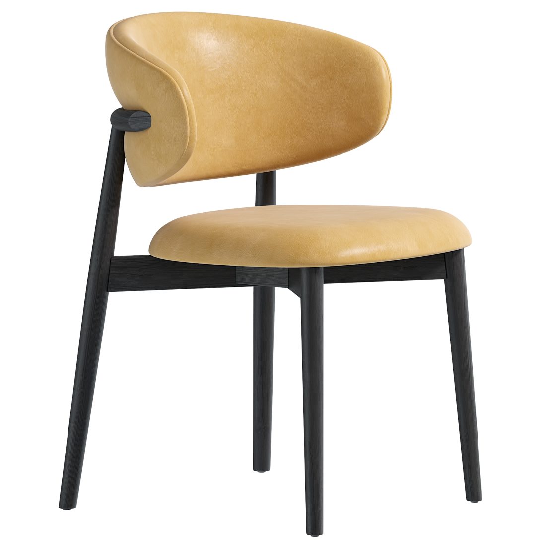 Chair Oleandro By Calligaris - 3D Model for Corona