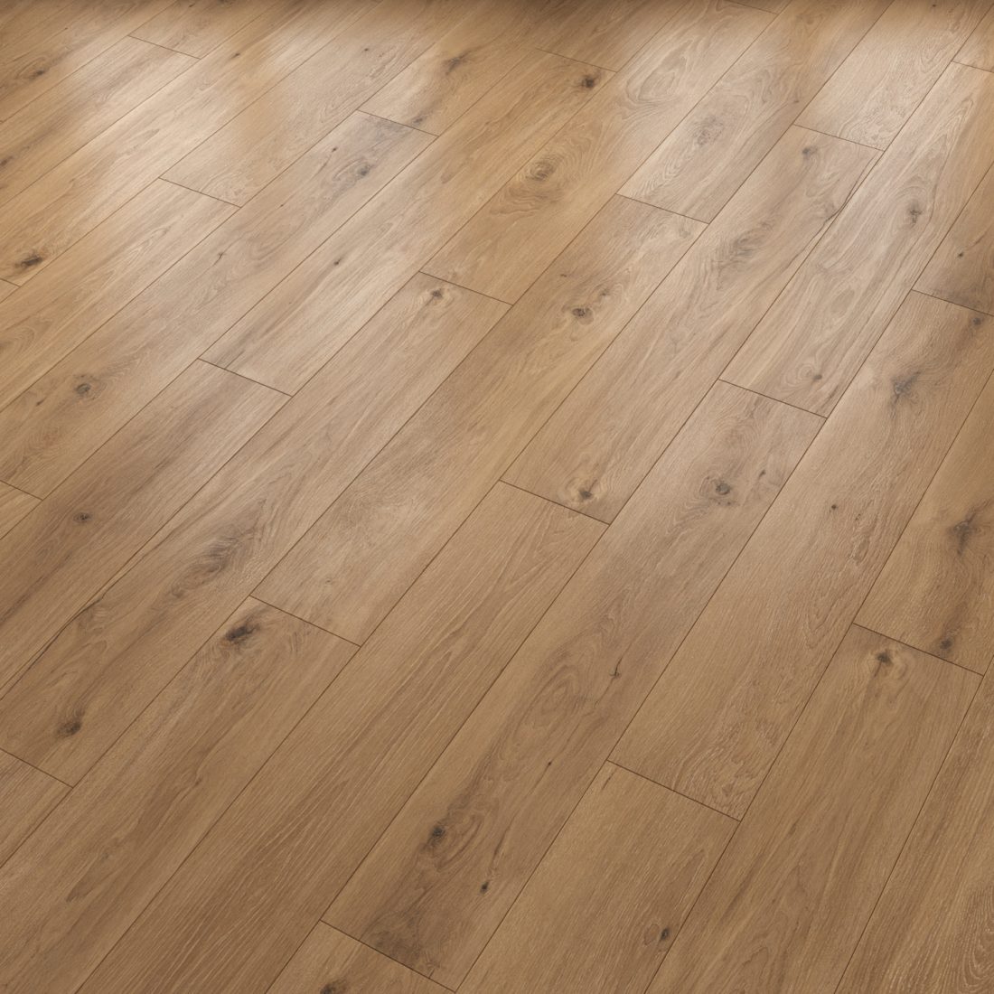 Caesar Cocoon S1 - 3D Model for VRay, Corona
