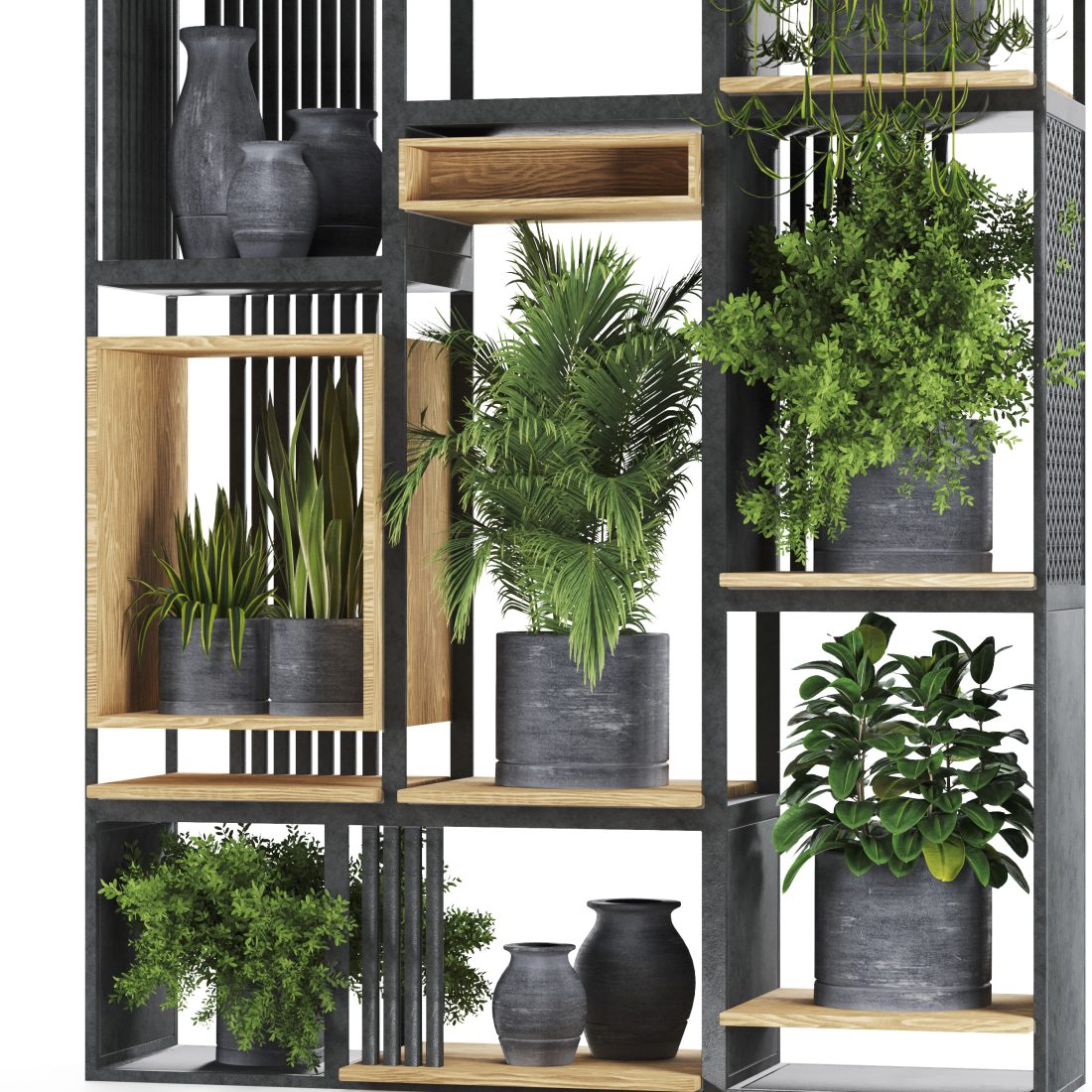Indoor Plants In Metal Shelf Set-89 3D Model for Corona | CGMood