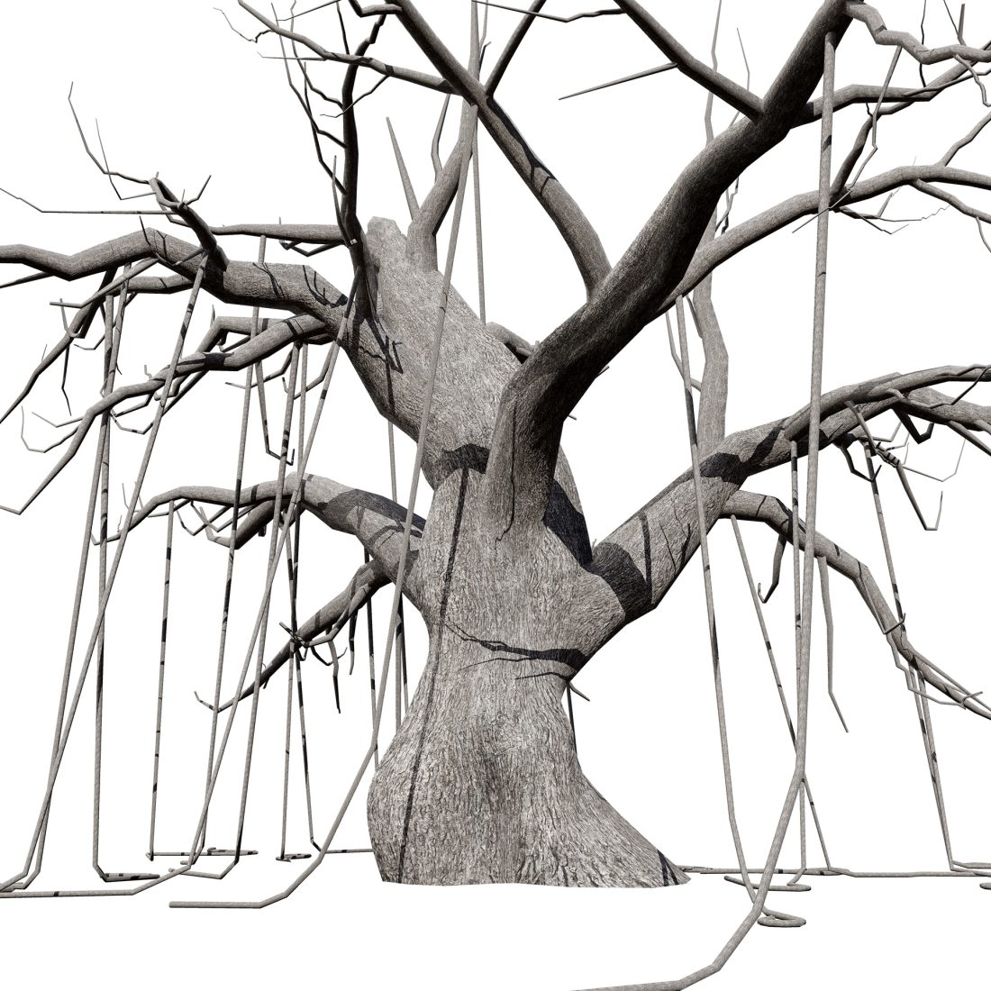 Creepy Trees 3d Model 3D Model for VRay, Corona | CGMood