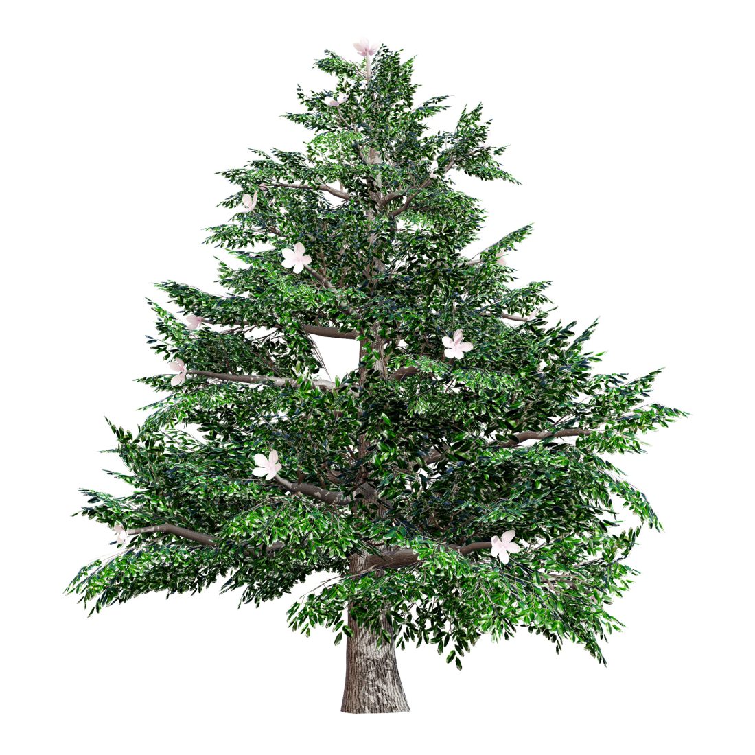 Magnolia Trees 3d Model Pack - 3D Model for VRay, Corona