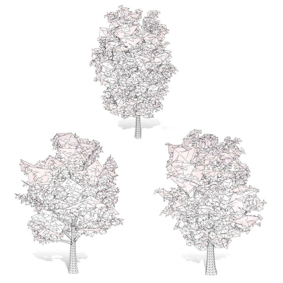 Realistic Pear Tree 3d Model - All Seasons - 3D Model for VRay, Corona