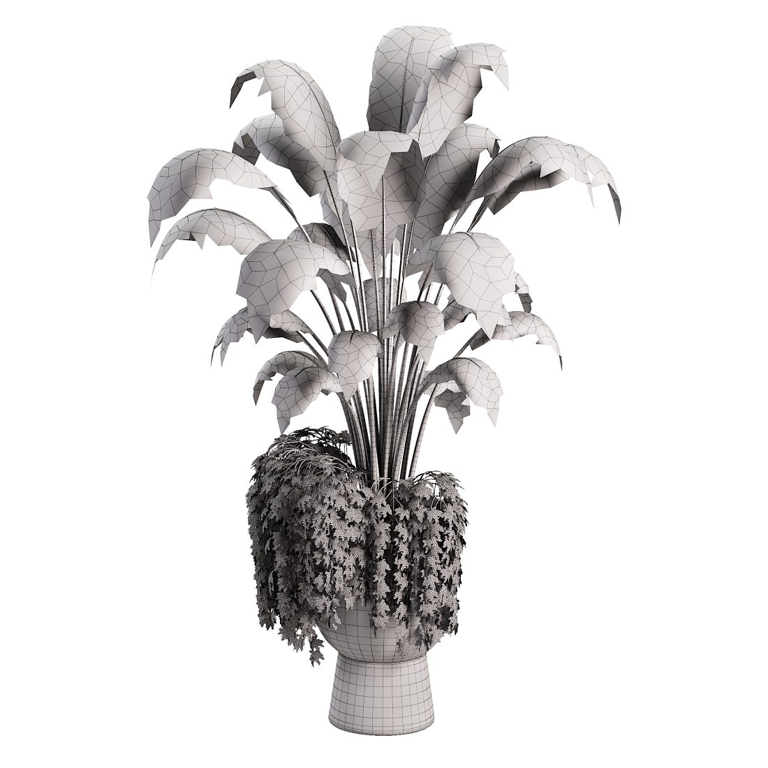 Canna Indoor Plent 3D Model for Corona | CGMood