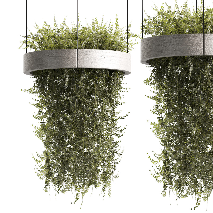 Indoorplants-hanging Plants Set-89 - 3D Model for VRay, Corona