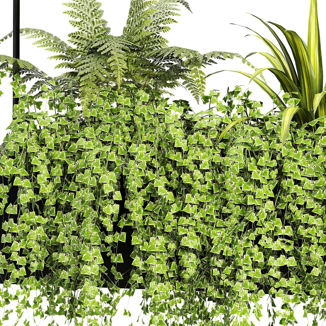 Great Hanging - 3D Model for Corona