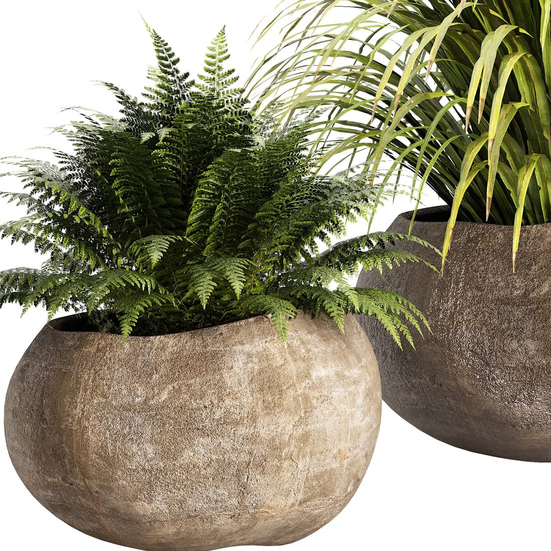 Outdoor Plent_02 - 3D Model for Corona