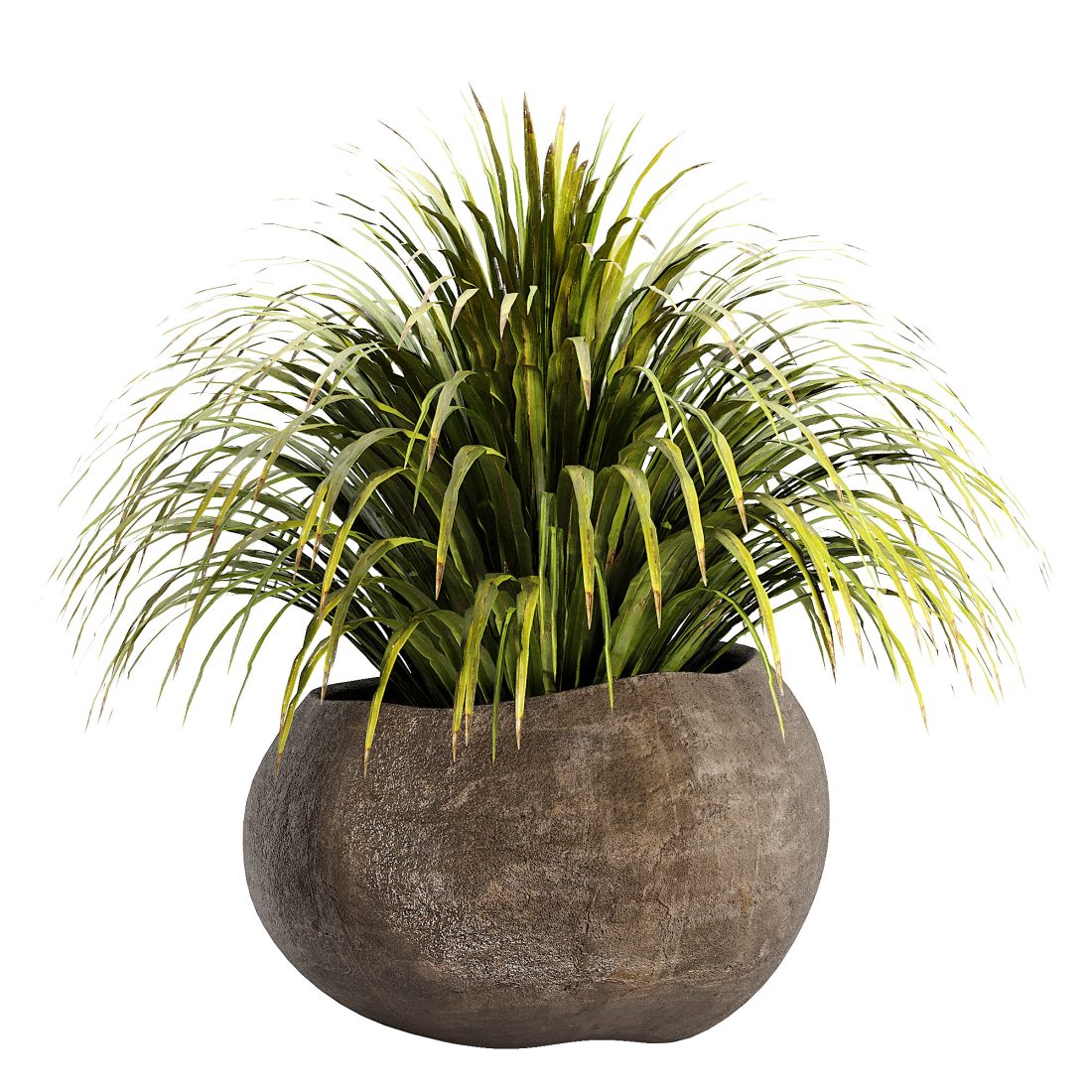 Outdoor Plent_02 - 3D Model for Corona