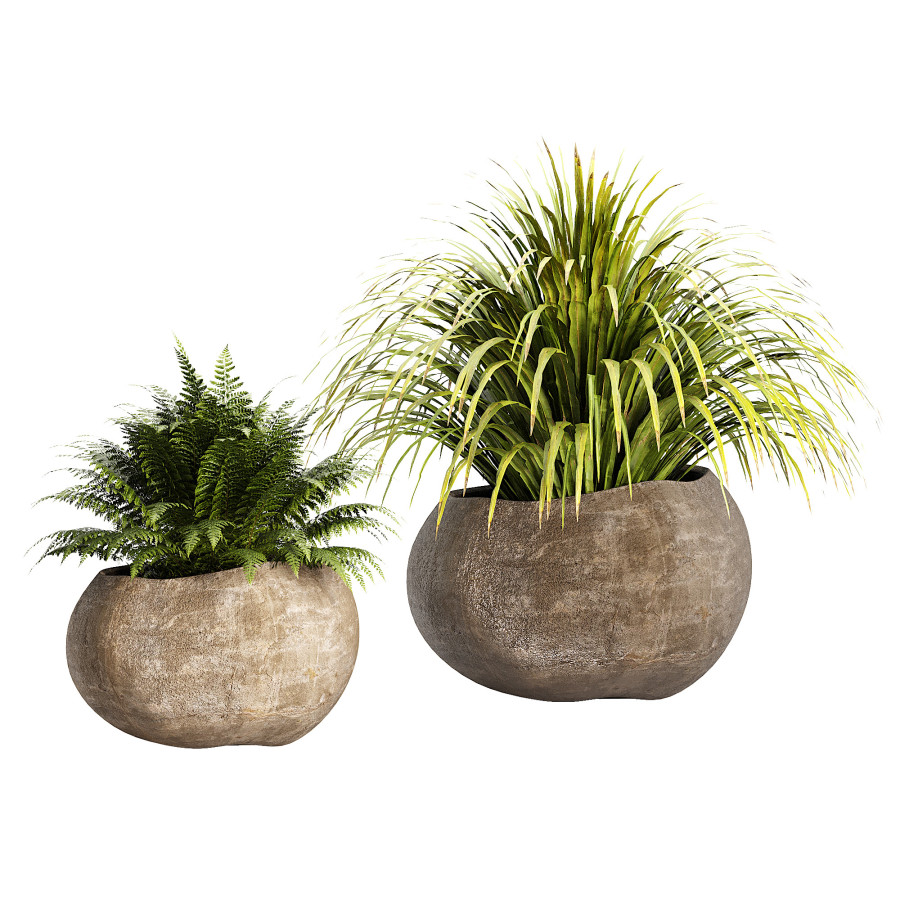 Outdoor Plent_02 - 3D Model for Corona