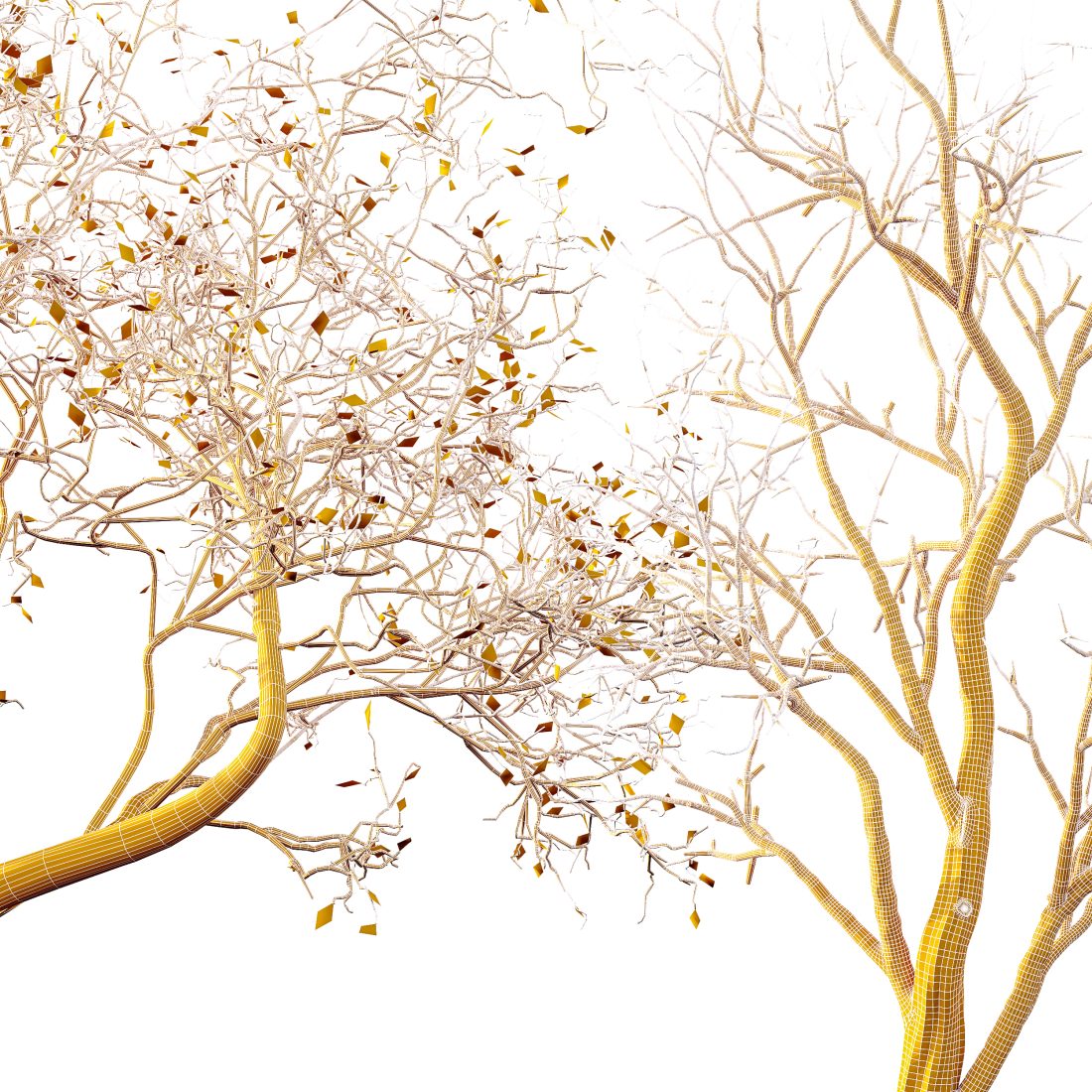 Av Winter Dry Tree - 3D Model for VRay, Corona