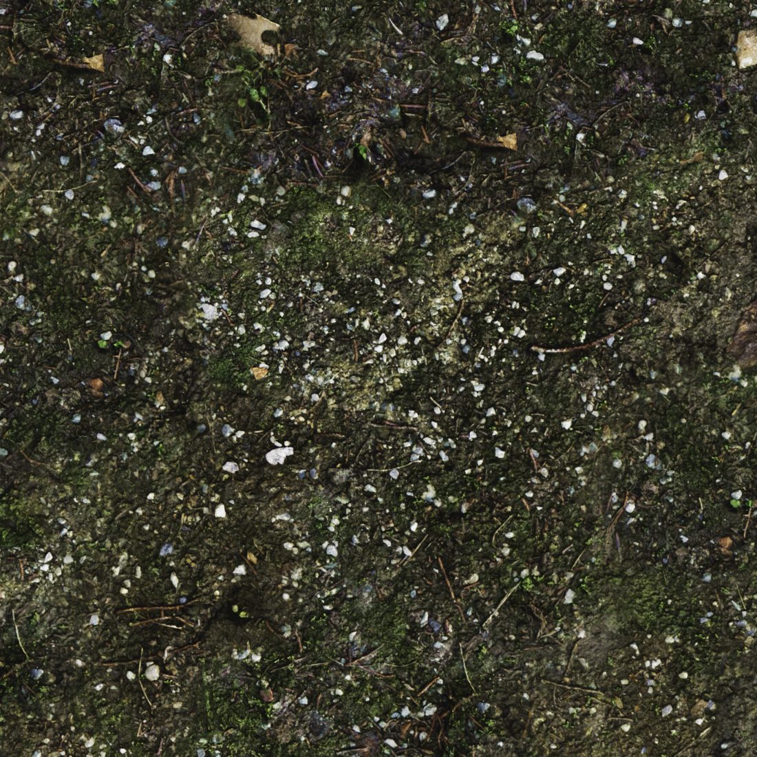 Ground Green - Moss 01 - Scanned Pbr Texture 4k - 3D Model for