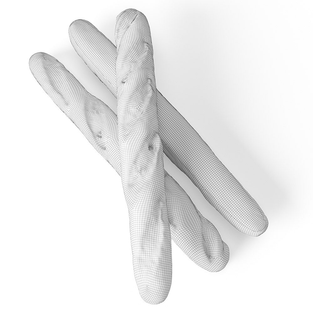 French Bread - 3D Model for VRay, Corona