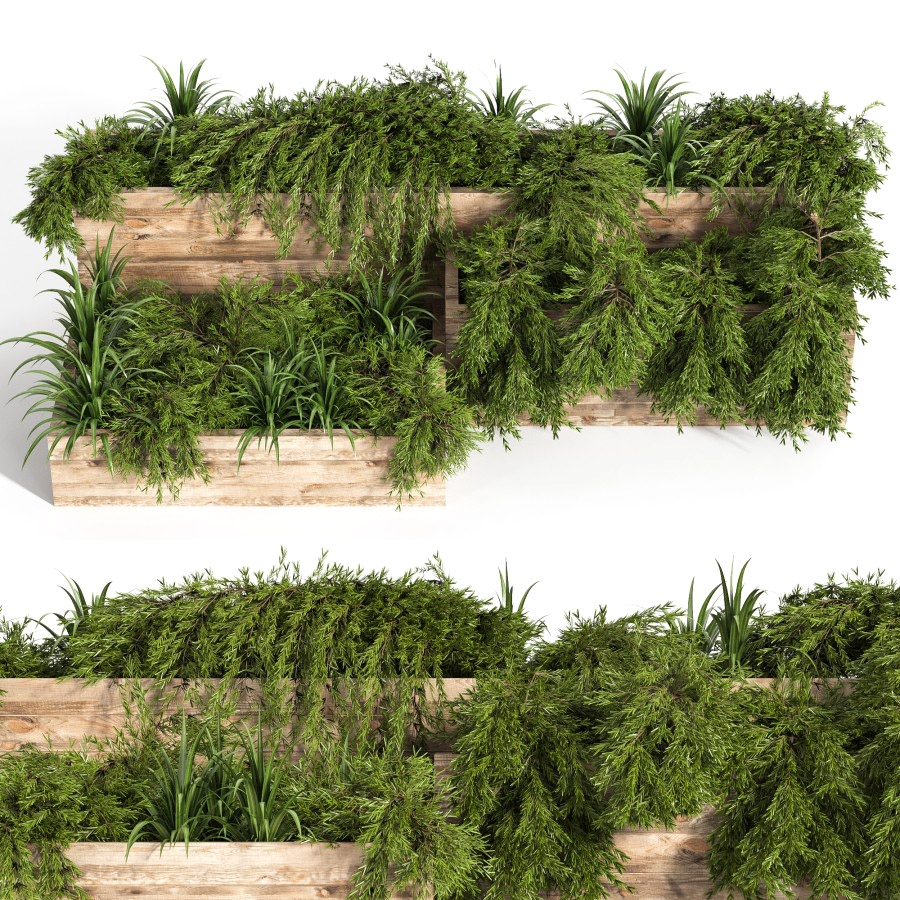 Outdoor Plants Tree In Plant Box_set01 - 3D Model for VRay, Corona