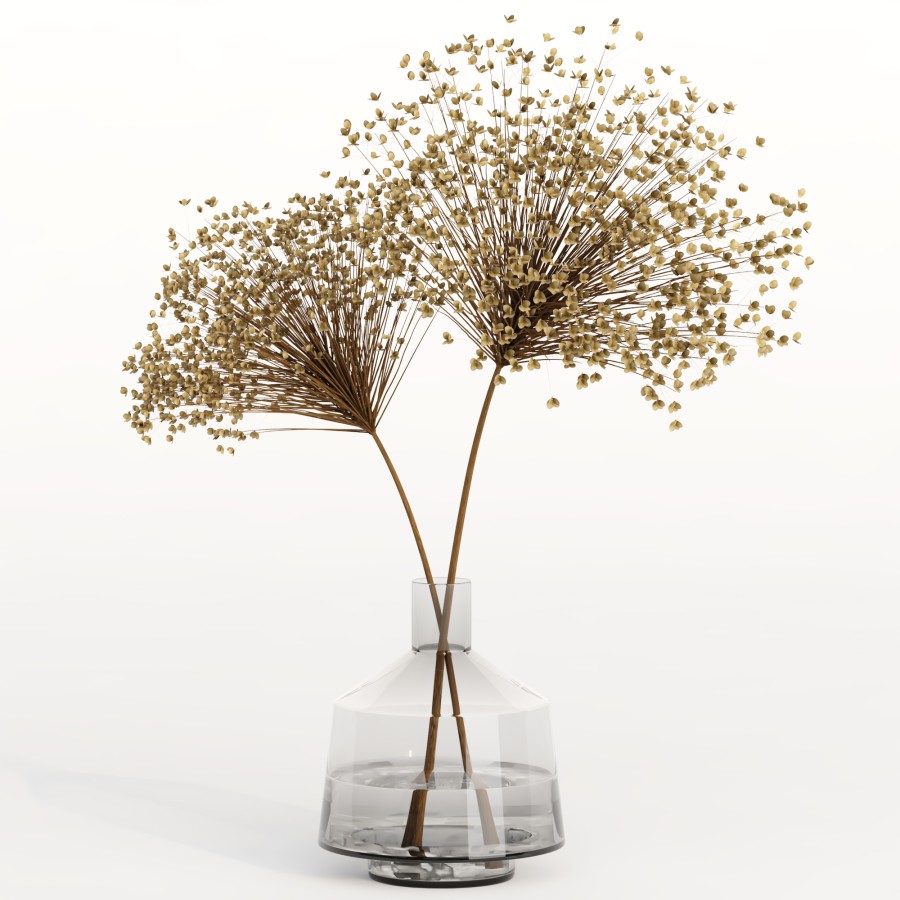 Dry Flower 006 3D Model for VRay | CGMood