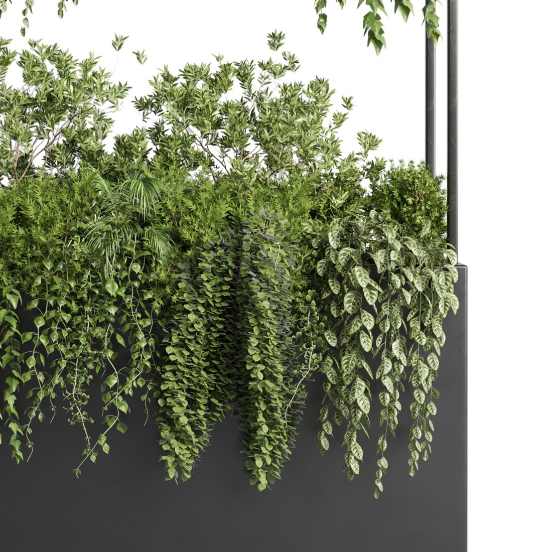 Box Plants On Stand Collection Of Houseplants In - 3D Model for VRay ...
