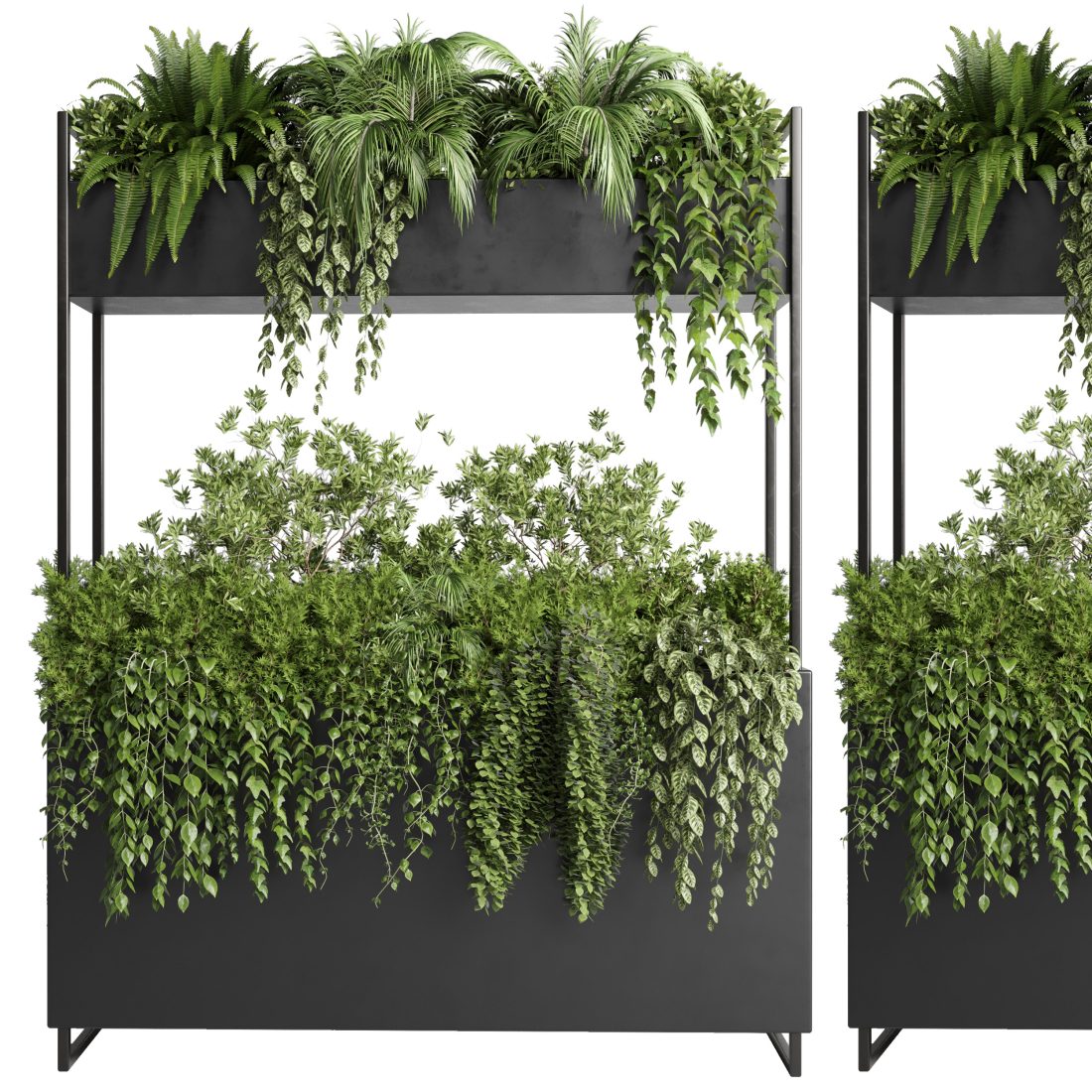 Box Plants On Stand Collection Of Houseplants In - 3D Model for VRay ...