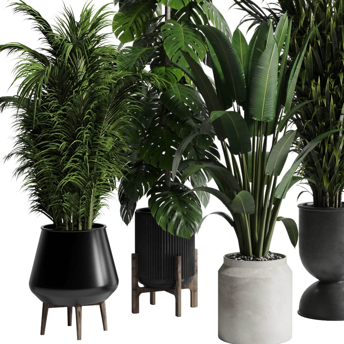 Indoor Plant Set 345 Ravenala Bamboo Monstera Palm - 3D Model for VRay ...