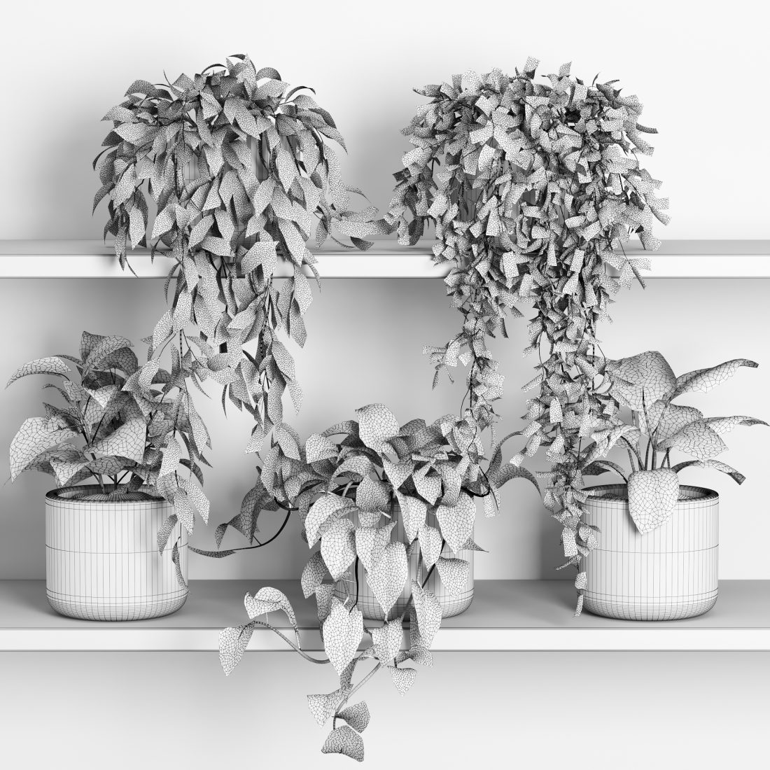 Plants On Shelf 07 - 3D Model for Corona
