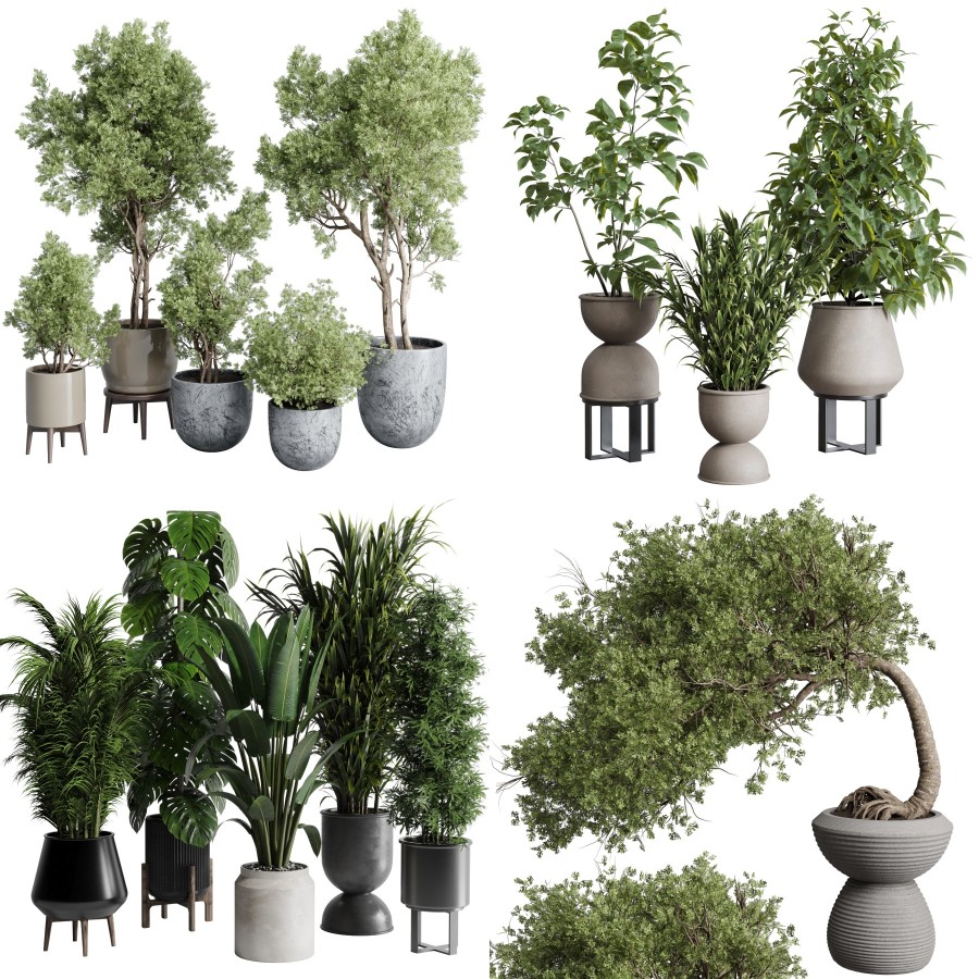 Indoor Plant Set 345 Ravenala Bamboo Monstera Palm - 3D Model for VRay ...