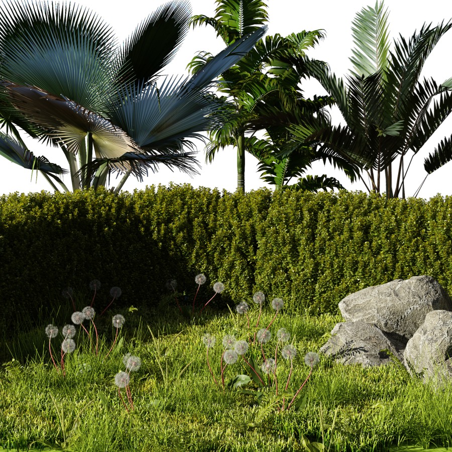 Garden Plants Collection - 3D Model for VRay