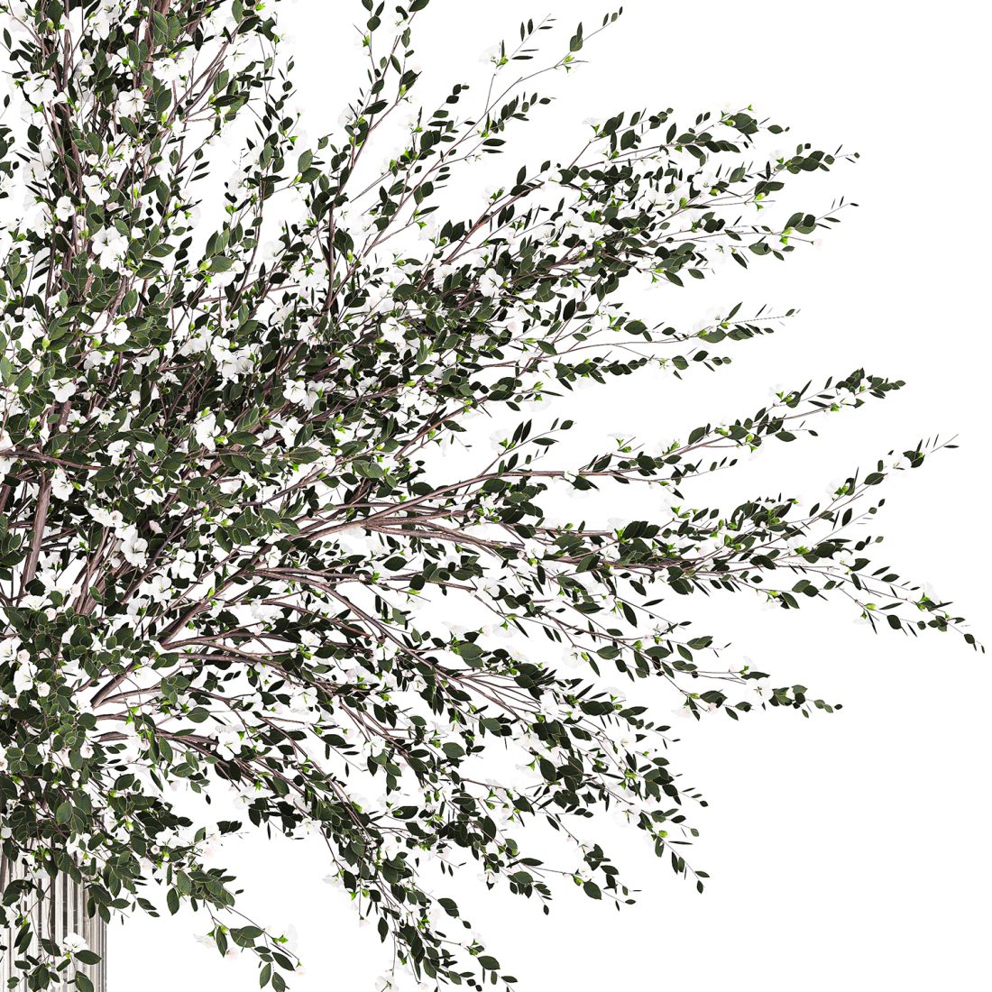 Bouquet Of Branches Of Blossoming Cherry Sakura - 3D Model for VRay