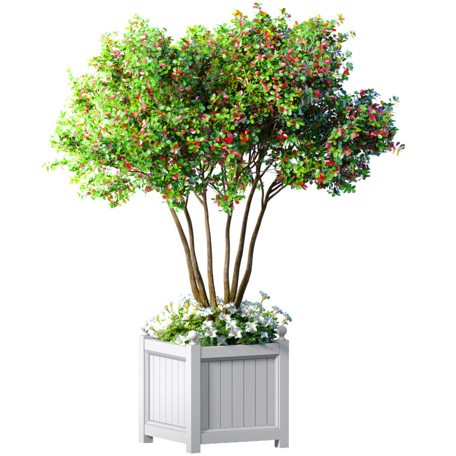 Decorative Tree In A Garden Planter With Flowers - 3D Model for VRay ...