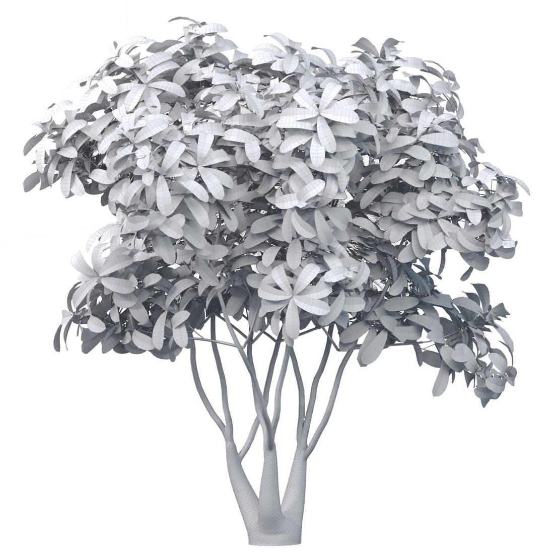 Outdoor Garden Plant Tree Shrub - 3D Model for VRay, Corona