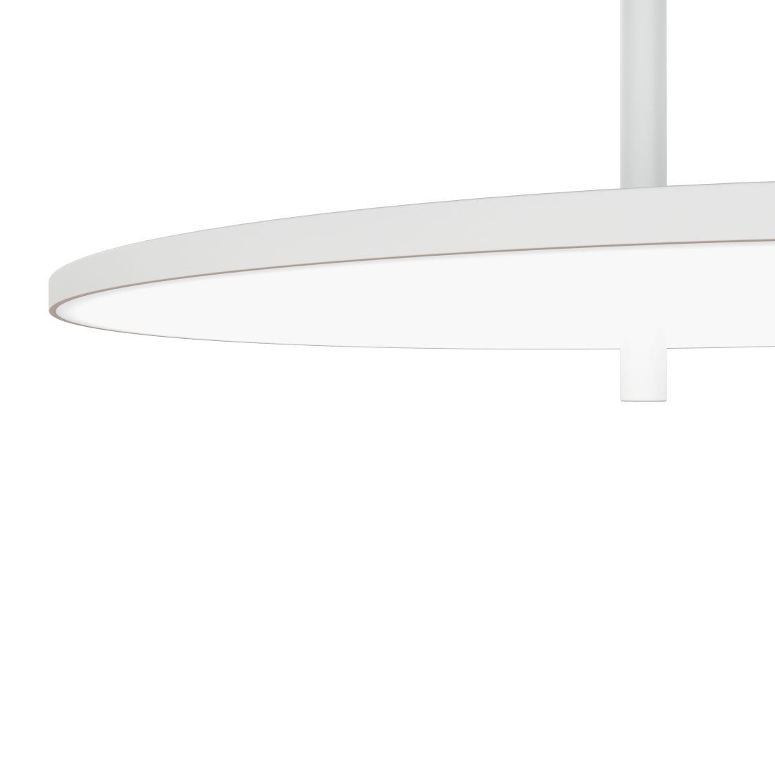 In Stock Flos - My Disc 3D Model for Corona | CGMood