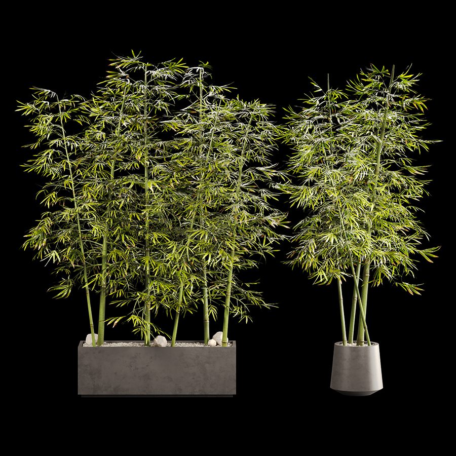 Bamboo Set 3D Model for VRay, Corona | CGMood