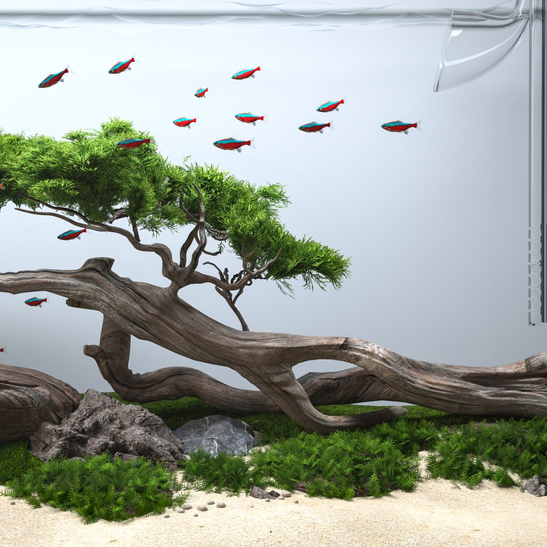 Aquascape Aquarium Nature - 3D Model for VRay, Corona
