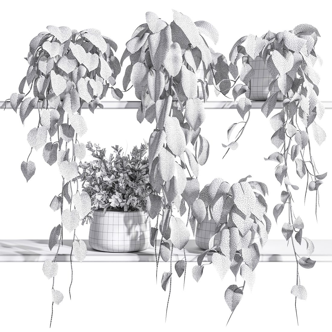 Plants On Shelf 26 - 3D Model for Corona