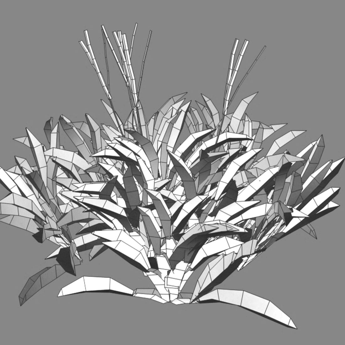 Axonopus Compressus_set_03 - 3D Model for VRay, Corona