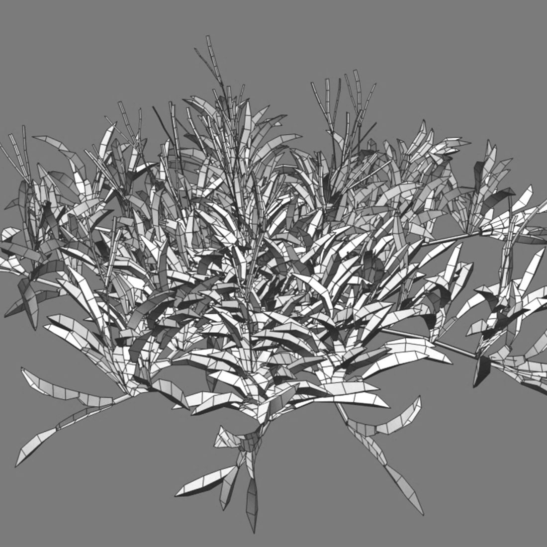 Axonopus Compressus_set_02 - 3D Model for VRay, Corona