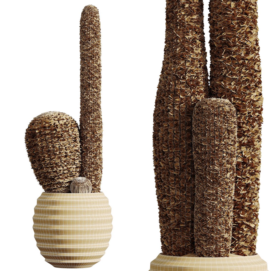 Av Houseplants Cactus Echinocactus Grusonii Golden 3D Model for VRay ...