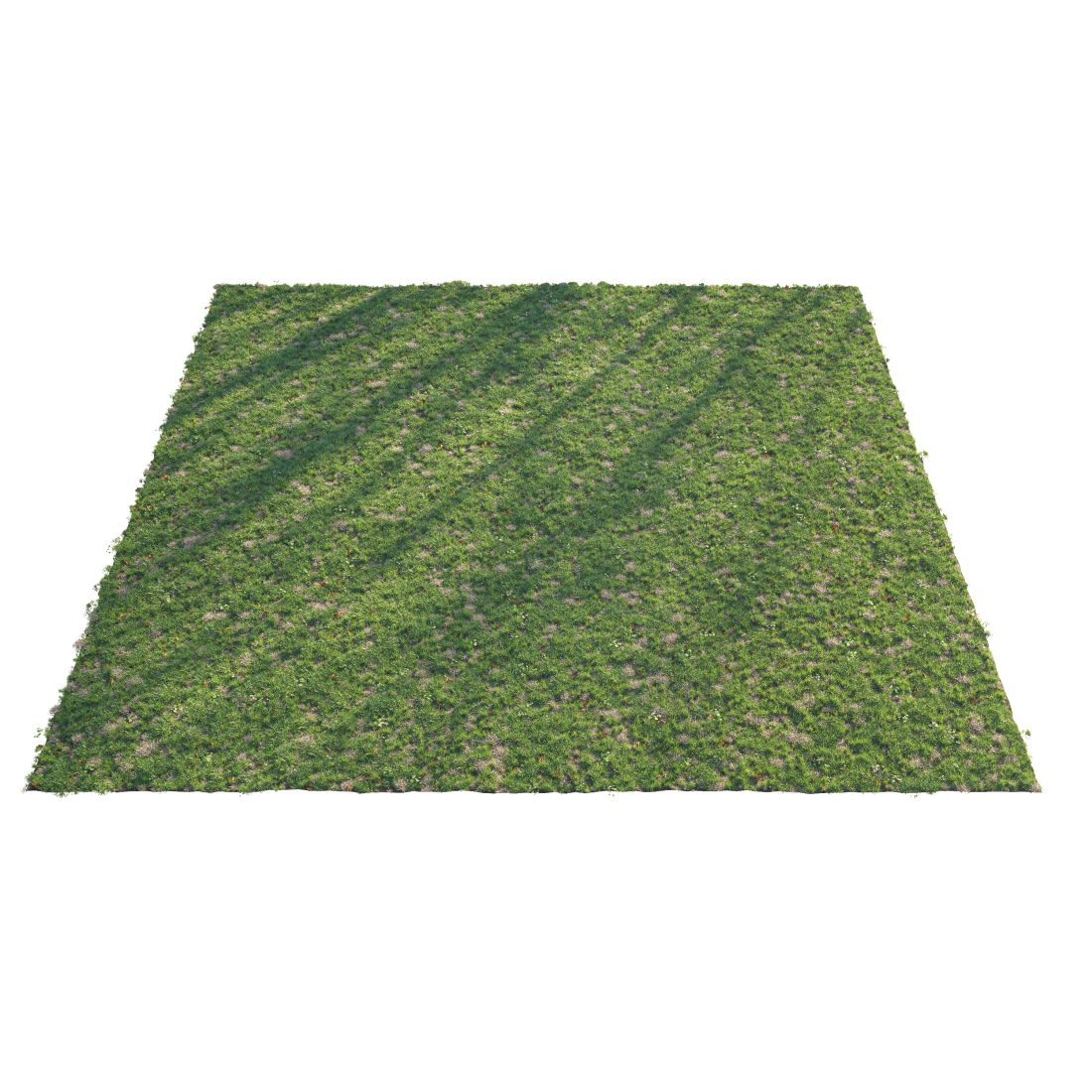 Patchy Green Grass - 3D Model for Corona