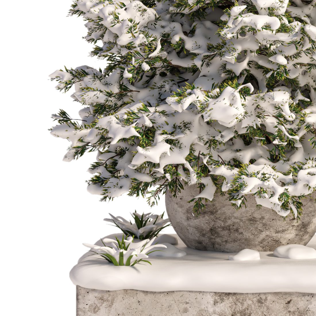 Snowy Christmas Tree 3D Model for VRay, Corona | CGMood