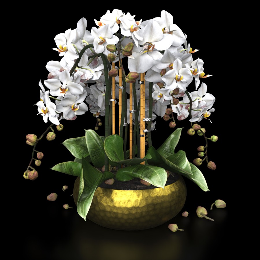 White Orchid Vase - 3D Model for VRay, Corona