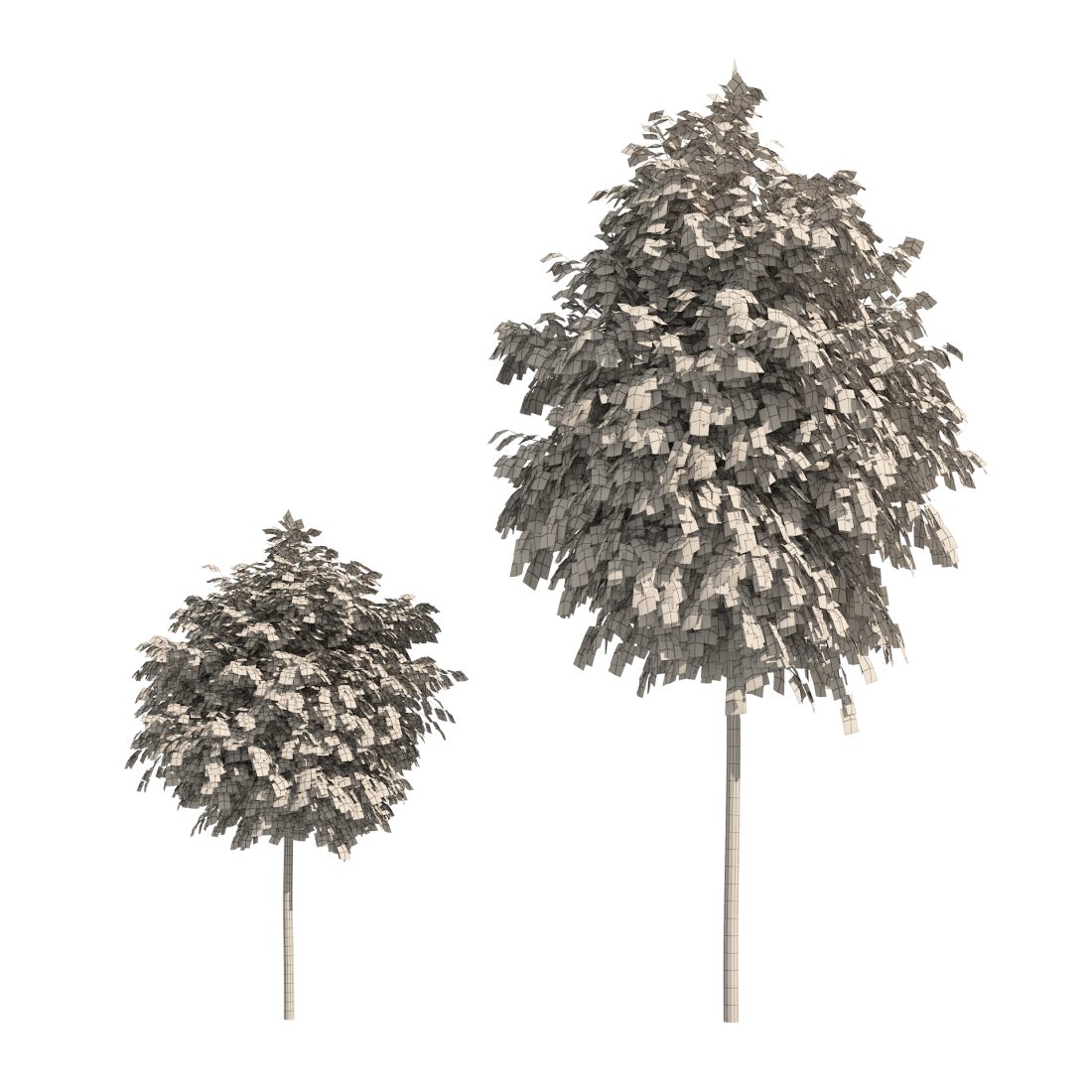 Street Landscape Trees - 3D Model for VRay